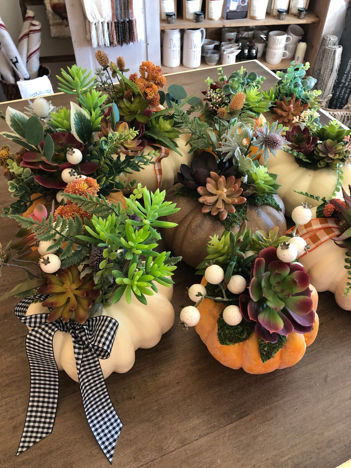 Succulent October Workshop SUCCESS!– Fleursdelavie Home Decor